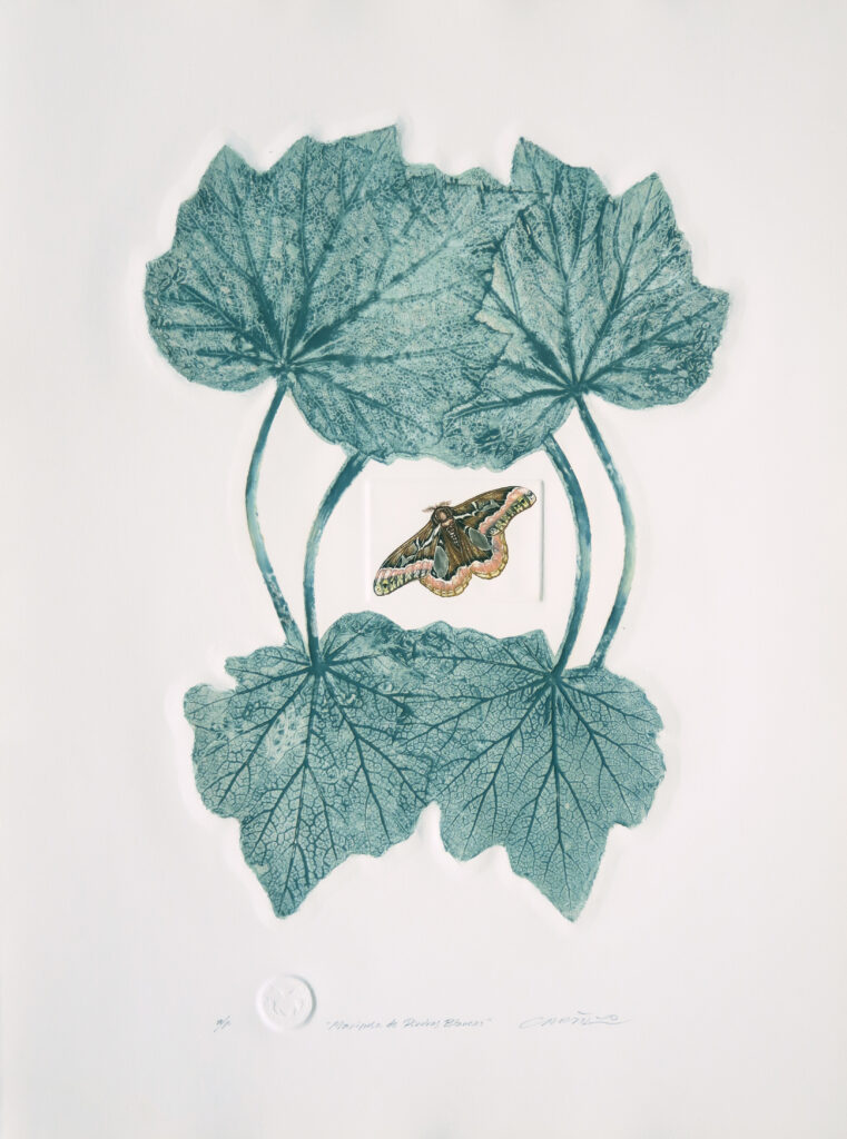 Taubman Museum of Art | Visit Us in Downtown Roanoke, Virginia