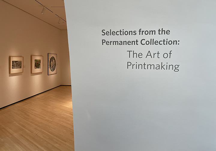 The Art of Printmaking: Selections from the Permanent Collection ...
